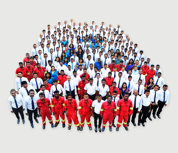 Shipping Company Sri Lanka | About McLarens Group Sri Lanka